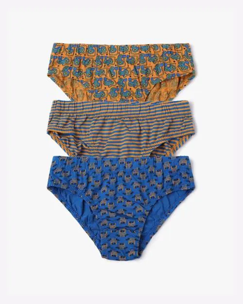 Buy Pack of 3 Printed Briefs with Concealed Waistband Online at Best ...