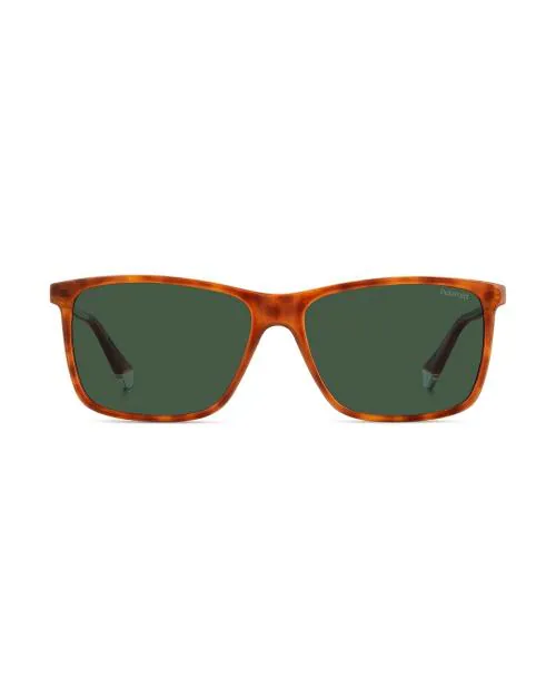 Buy 205339 UV-Protected Wayfarer Sunglasses Online at Best Prices in ...