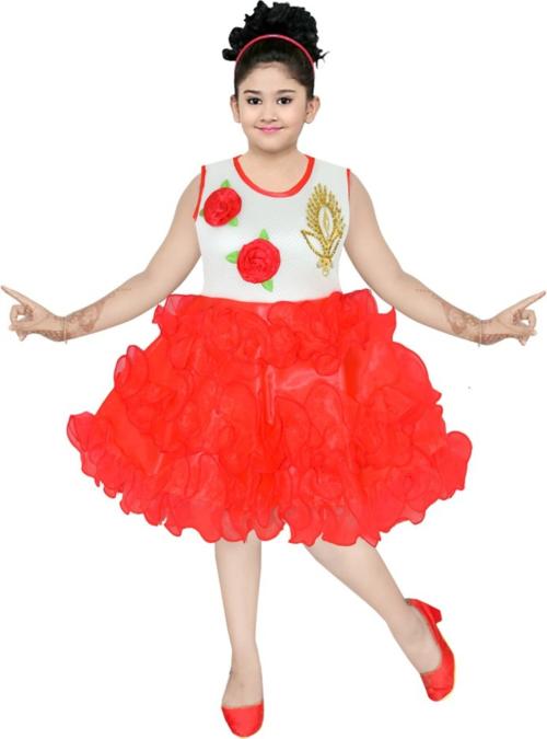 Buy Maruf Girls Red Net A- Line Dress - 12 to 18 M Online at Best Prices in India - JioMart.