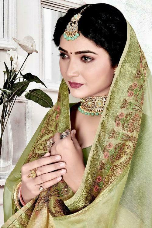 Buy Paramparik Textile Light Green Temple Border, Solid/Plain Organza ...