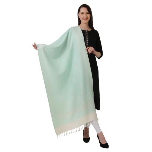 Buy EVAZ Stylish Woolen Stoles For Women's -Light Sea Green Online at ...