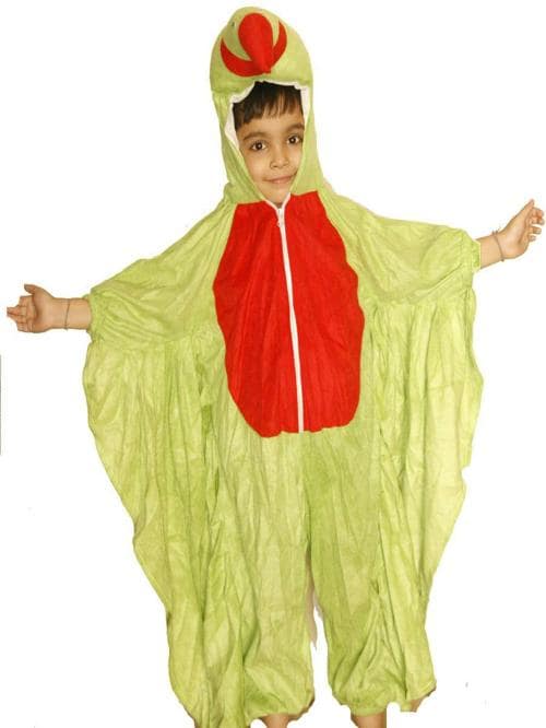 Buy Fancydresswale Kids Parrot Fancy Dress (4-6 Yrs) Online at Best ...