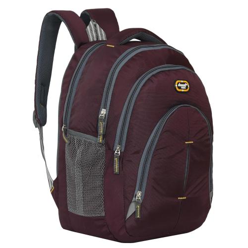 Buy IRY Large 55 L Laptop Backpack Unisex spacy comfortable 4th to 10th ...