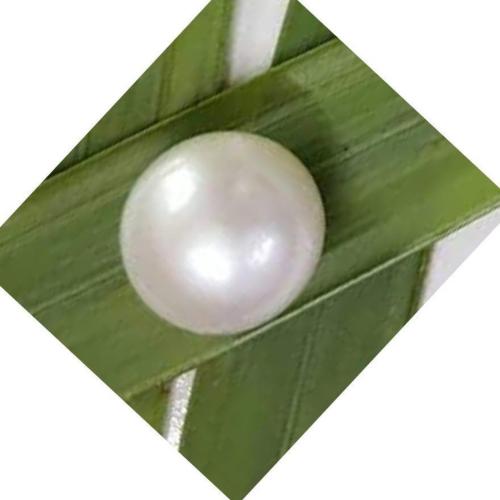 Buy Chopra Gems Stone 5.50 Ratti Pearl Pendant White (Men and Women) Online at Best Prices in ...