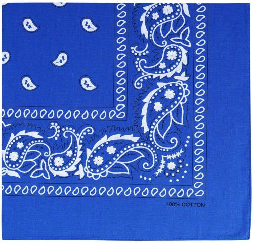 Buy The beged Raylarnia Unisex Royal Blue Paisley Mufflers & Scarves ...
