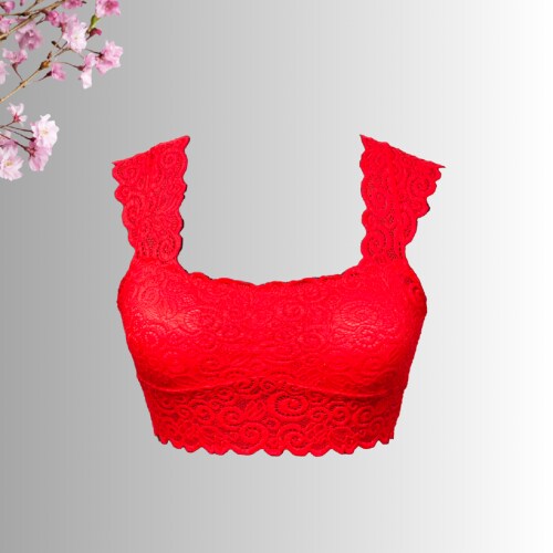 Buy SILK TICK Women's Lace Seamless Lightly Padded Styled Back Bra ...