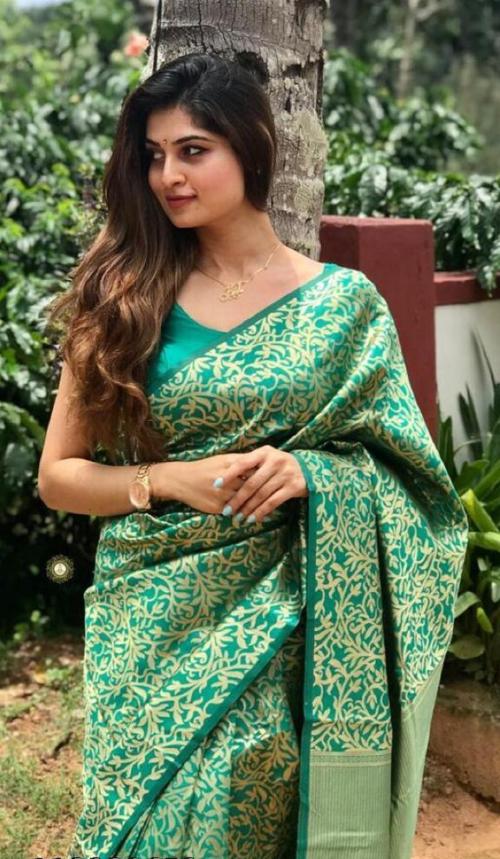 Buy PANETAR Fancy Wedding Jacquard Saree For Bridal Online at Best ...