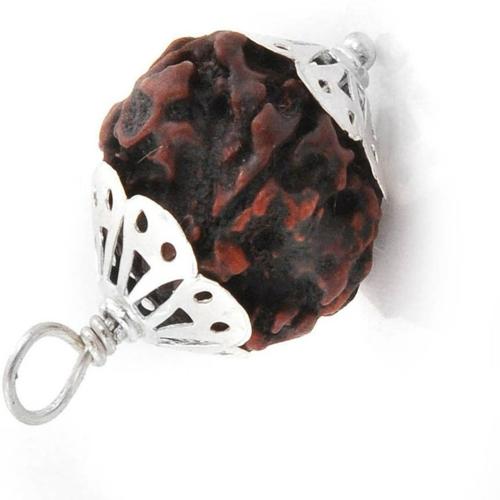 Buy Raviour Lifestyle 5 Mukhi Five Face Rudraksha Pendant Rudraksh ...