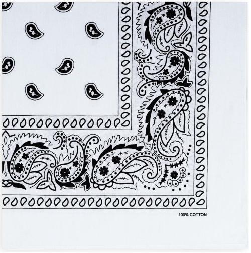 Buy The beged Raylarnia Unisex Adult White Paisley Mufflers & Scarves ...