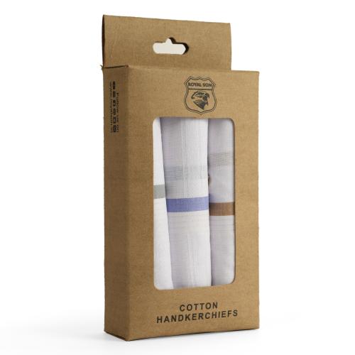 Buy Royal Son Cotton Handkerchiefs Hanky For Men (Pack of 03) Online at ...
