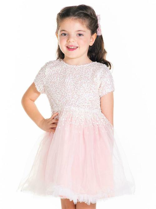 Buy Cherry Crumble by Nitt Hyman Girls Pink Embellished Polyester Dress ...
