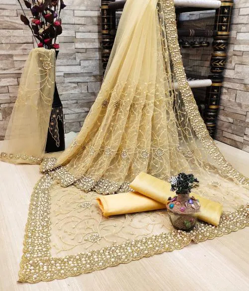 Buy Heavy Net Embroidery & Moti Work Saree Online at Best Prices in ...