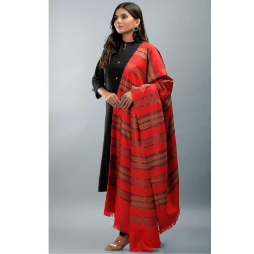 Buy Zingle Women's Kashmiri Warm Woolen Zari Thread Work Self Design ...