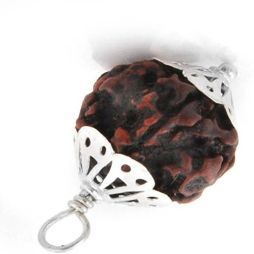 Buy Raviour Lifestyle 5 Mukhi Five Face Rudraksha Pendant Rudraksh ...