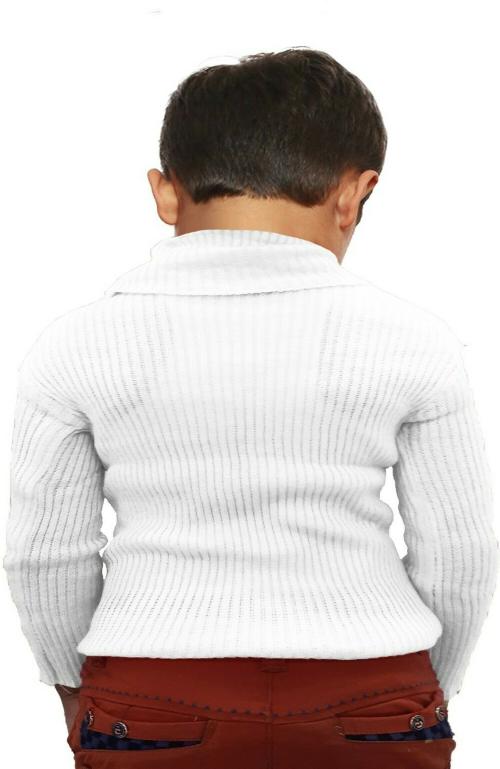 Buy AD & AV Wool BlendCasualBoysRound Neck Sweater Online at Best ...