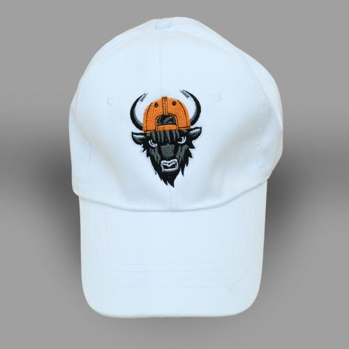 Buy BISON INDIA Printed, Embroidered Sports/Regular Adjustable Cap ...