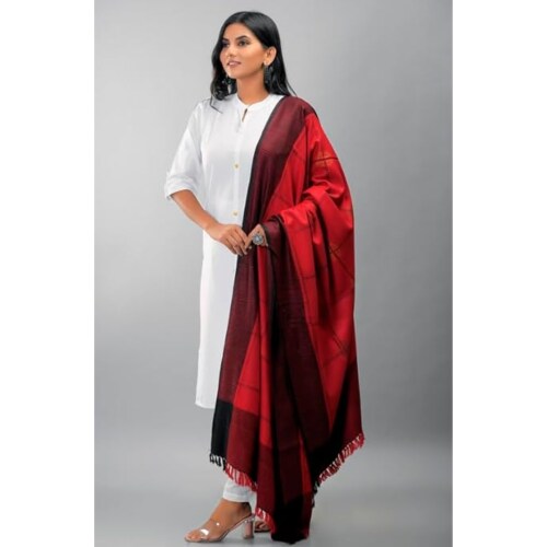 Buy Zingle Women's Kashmiri Warm Woolen Shawl, Flower&Check Design ...