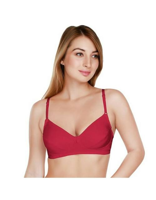 Buy DAISY DEE Women's Wire Free Non-Padded Full Coverage Seamed Regular Bra - (Maroon, 40B ...