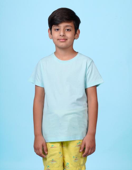 Buy Nusyl Boys Powder Blue Solid t-shirt Online at Best Prices in India ...