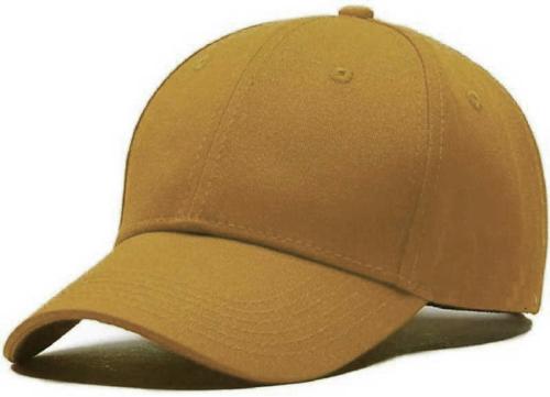 Buy Eaglebuzz Brown Back Strip Cap Online at Best Prices in India ...