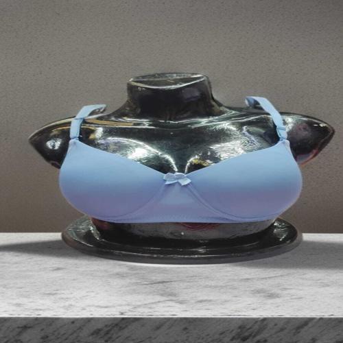 Buy LADY NICE Women's Cotton Blend Solid Light Padded Full Cup Wire ...