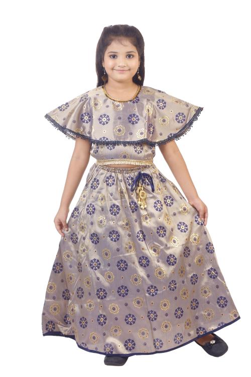 Buy Burbn Girls Party Wear Lehnga Choli Set Silver Online at Best ...