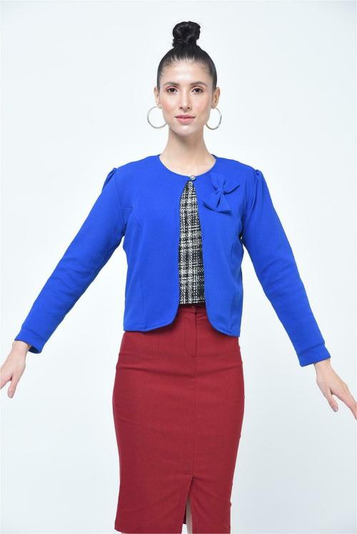 Buy Hrikshika Fashion Women Light Blue Embellished Cotton Lycra Blend ...