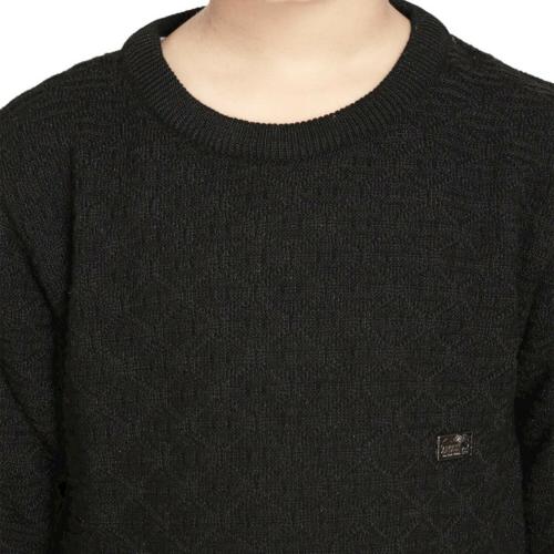 Buy AD & AV Wool BlendFormalBoysRound Neck Sweater Online at Best ...