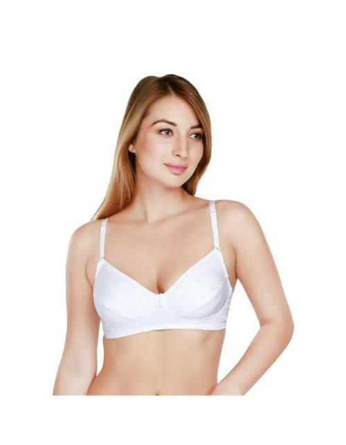 Buy DAISY DEE Women's Wire Free Non-Padded Full Coverage Seamed Regular Bra - (White, 36B ...