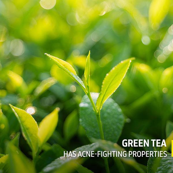 Phy Green Tea Superlight Moisturizer 75 ml - JioMart