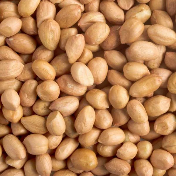 Satyam Singdana 500 g - JioMart