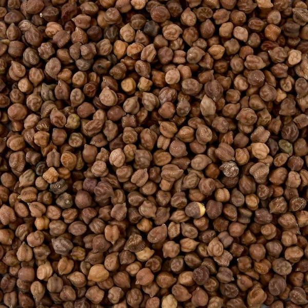 Laxmi Daily Feast Black / Brown Mausami Chana 500 g - JioMart
