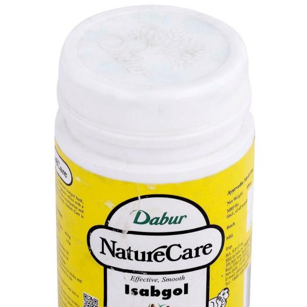Dabur Nature Care Isabgol 100 g - JioMart