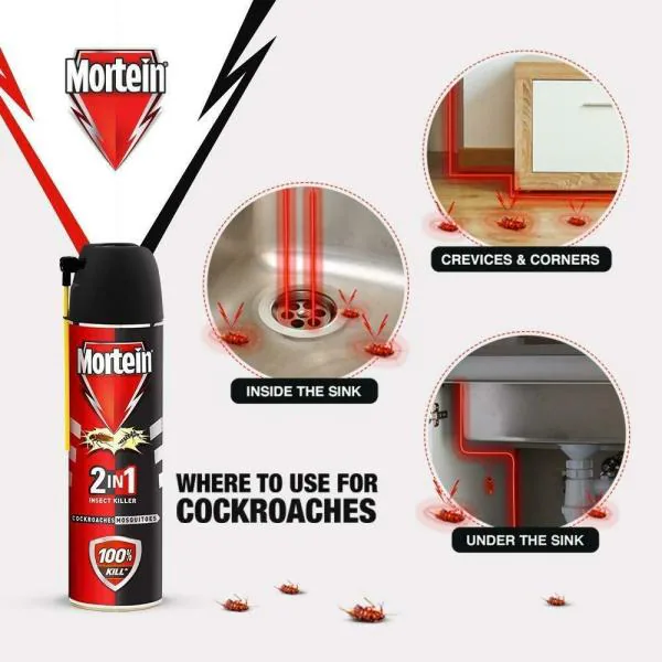 Mortein Dual All Insect Killer Spray 600 ml - JioMart