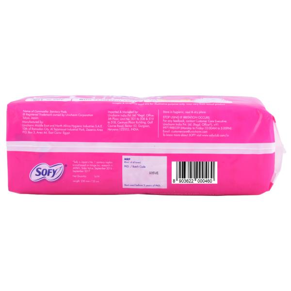 Sofy Bodyfit Sanitary Napkin with Wings (Regular) 16 pads - JioMart