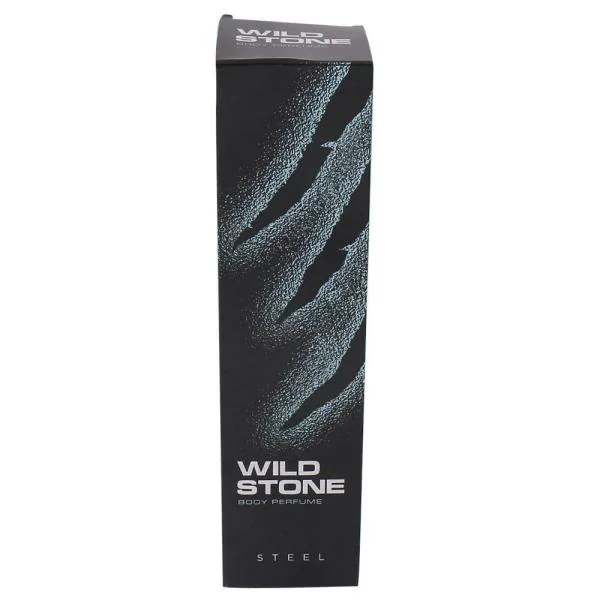 Wild Stone Steel Perfume Body Spray for Men 120 ml - JioMart