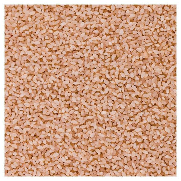 Good Life Matta Vadi Rice 1 kg - JioMart