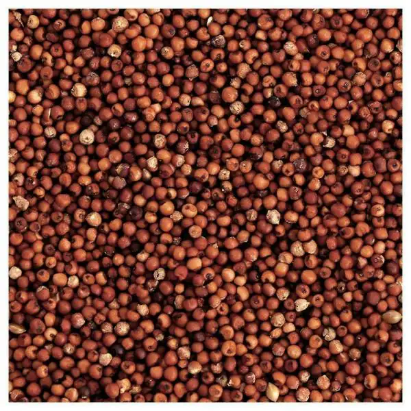 Good Life Nachni 1 kg - JioMart