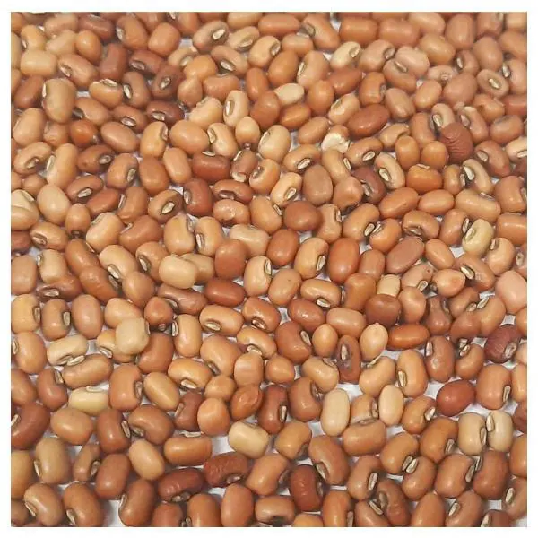 Best Farms Red Lobia / Chawli 200 g - JioMart