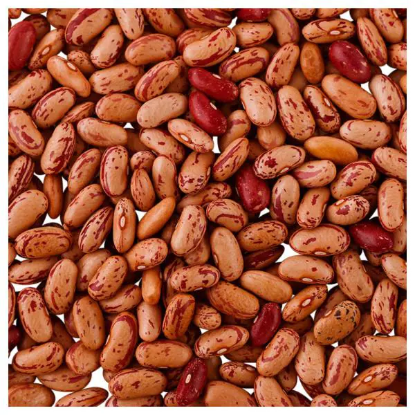 Good Life Chitra Rajma 1 kg - JioMart
