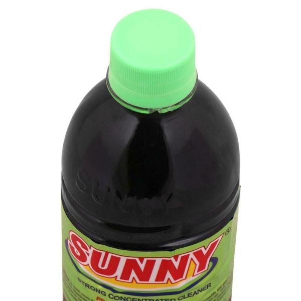 Sunny Pine Fresh Green Concentrated Floor Cleaner 500 ml - JioMart