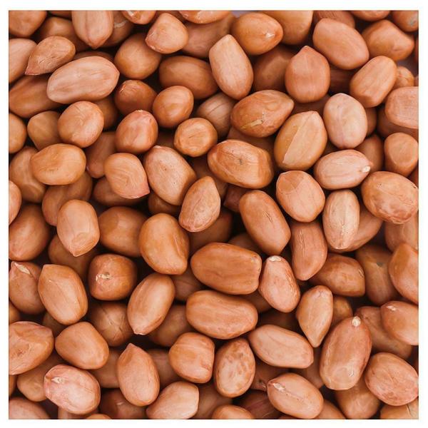 Organic Tattva Raw Peanuts / Groundnuts 500 g - JioMart