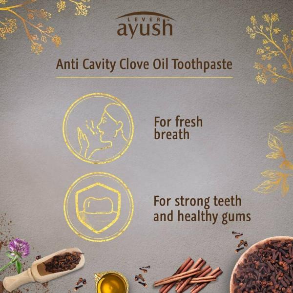 Lever Ayush Anti Cavity Clove Oil Toothpaste 80 g - JioMart