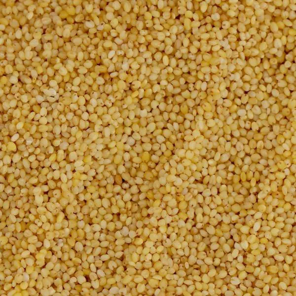 Pro Nature Organic Foxtail Millet 500 g - JioMart