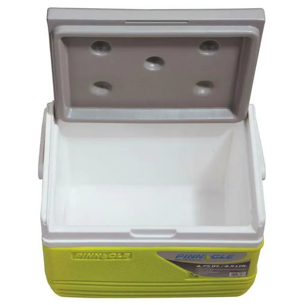 Pinnacle Eskimo Green Insulated Plastic Cooler Box 4.5 L - JioMart