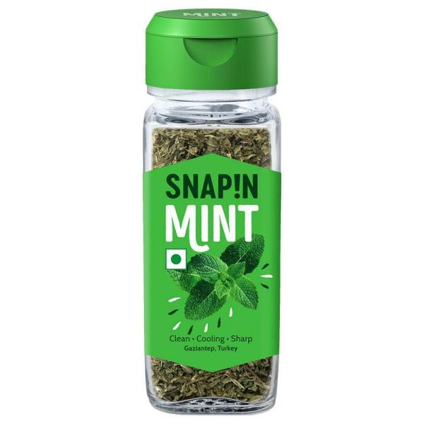 Snapin Mint 15 g - JioMart