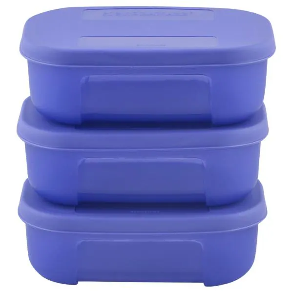 Signoraware Icy Cool Violet Rectangular Plastic Container 140 ml (Set ...