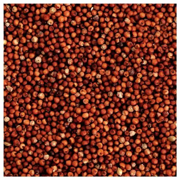 Ragi Millet 2 kg - JioMart