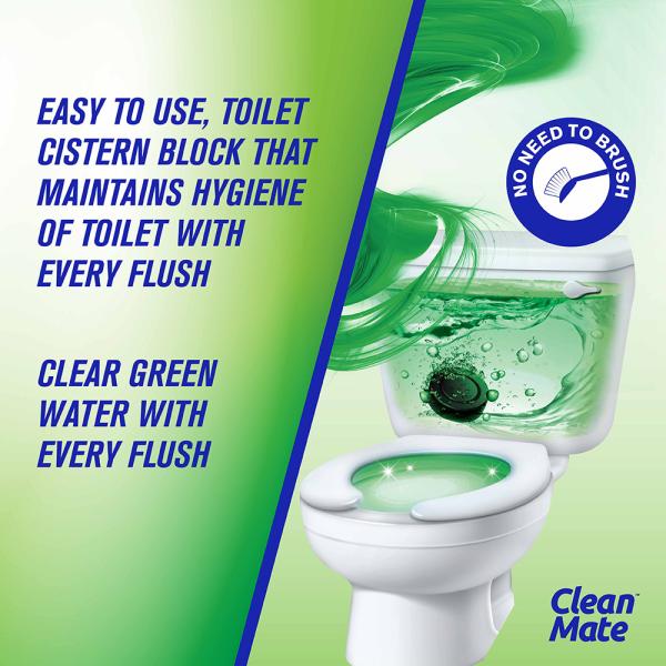 Cleanmate Pine Toilet Flush Tablet 50 g (Pack of 2) - JioMart