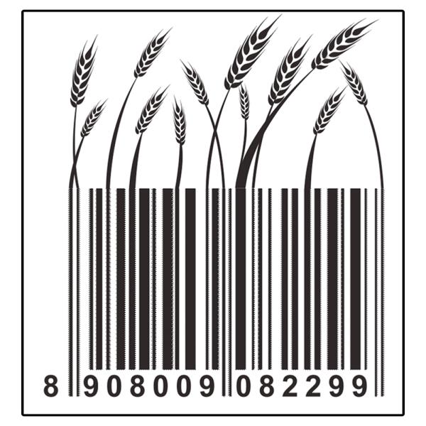 Shareat Foochka Ready to Fry Pani Puri with Imli Pani Maker 200 g - JioMart